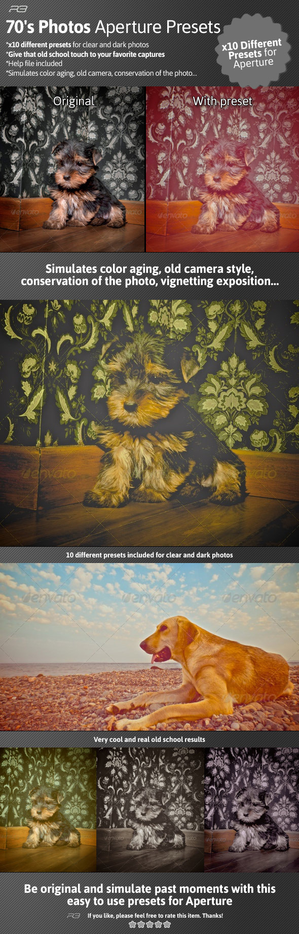 Aperture Graphics, Designs & Templates | GraphicRiver