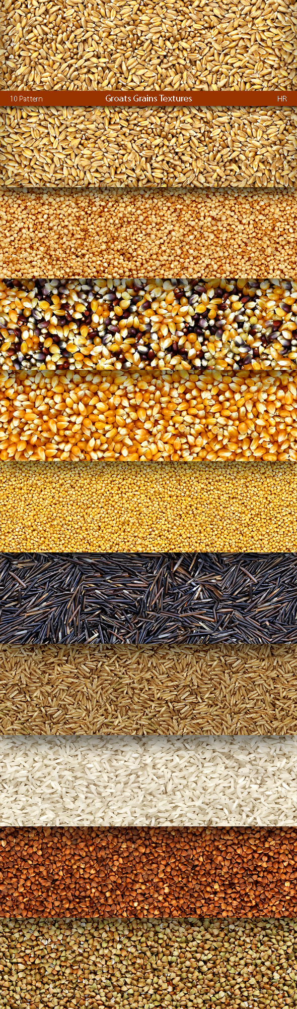 Millet Graphics, Designs & Templates | GraphicRiver