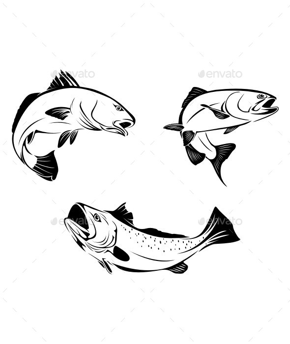 Fish Graphics, Designs & Templates | GraphicRiver