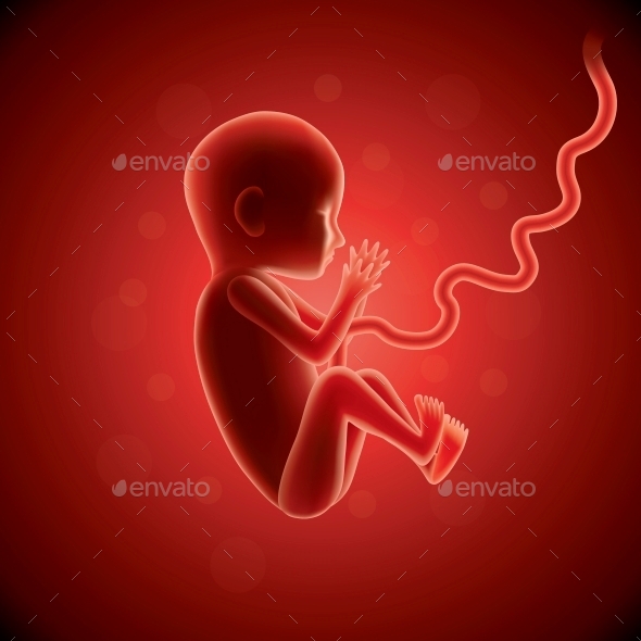 Fetus Graphics, Designs & Templates | GraphicRiver