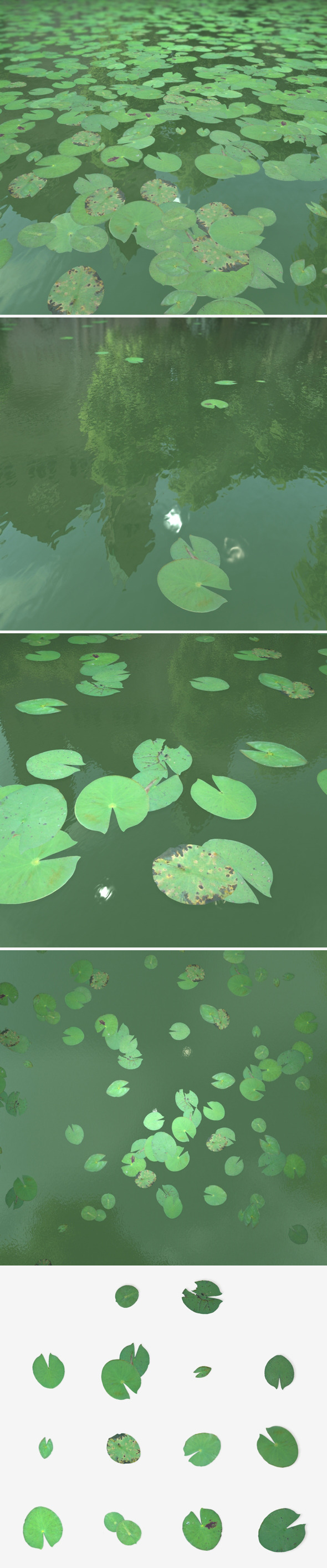 Water Plant CG Textures & 3D Models | 3DOcean