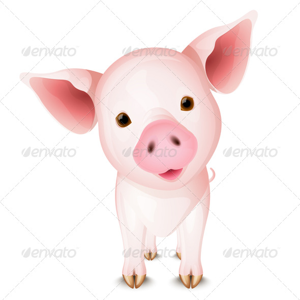 Pigs Graphics, Designs & Templates | GraphicRiver