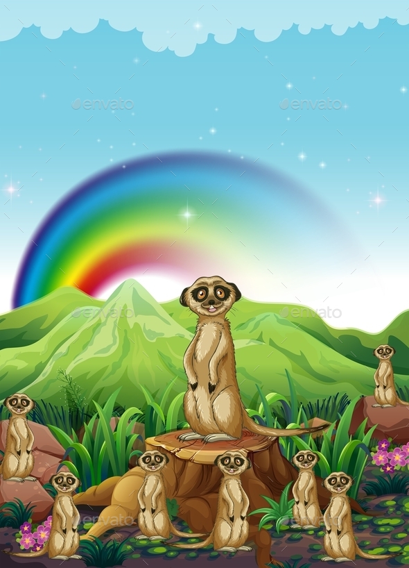 Meerkat Graphics, Designs & Templates | GraphicRiver