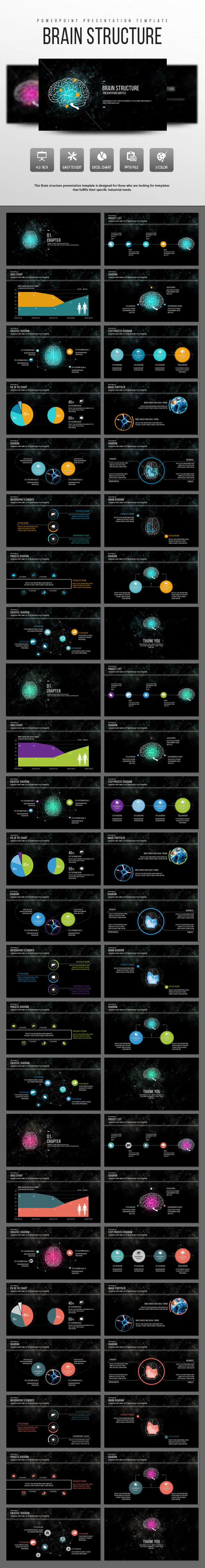 Brain Graphics, Designs & Templates | GraphicRiver