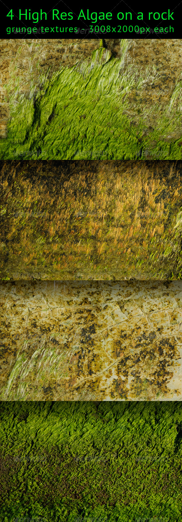 Algae Graphics, Designs & Templates | GraphicRiver