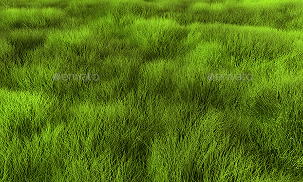 Turf Graphics & Vector | GraphicRiver