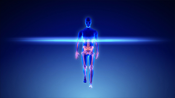 Download Human Anatomy HUD Pack 200+ - Videohive - After Effects Projects