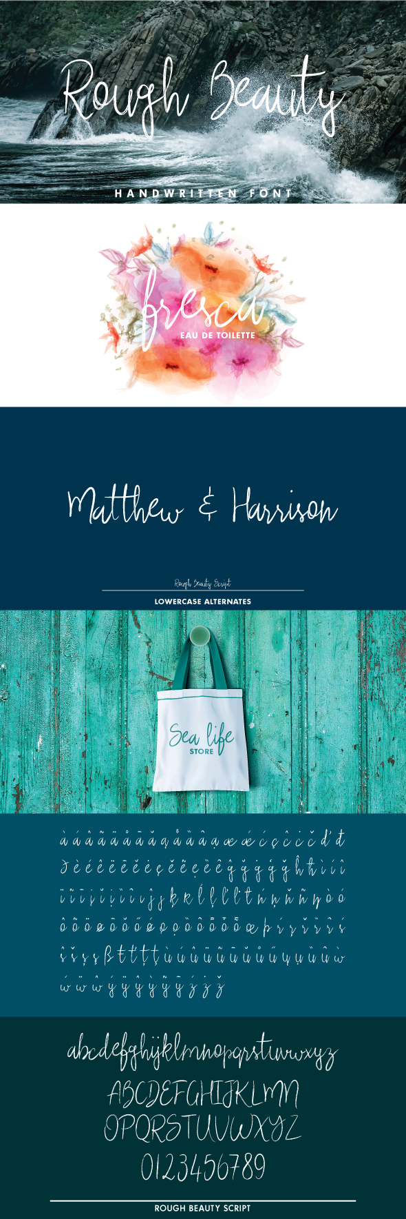 Script Fonts from GraphicRiver