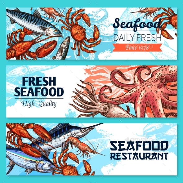 Squid Banners Graphics, Designs & Templates from GraphicRiver