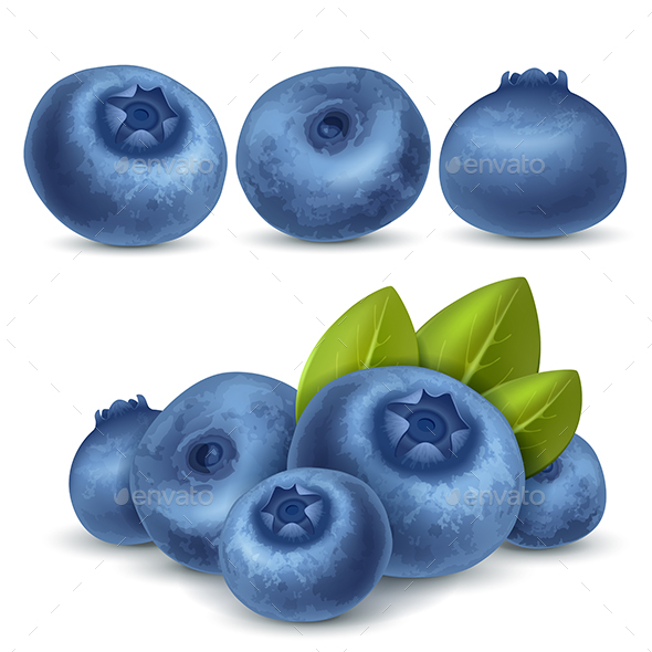Blueberry Graphics, Designs & Templates | GraphicRiver