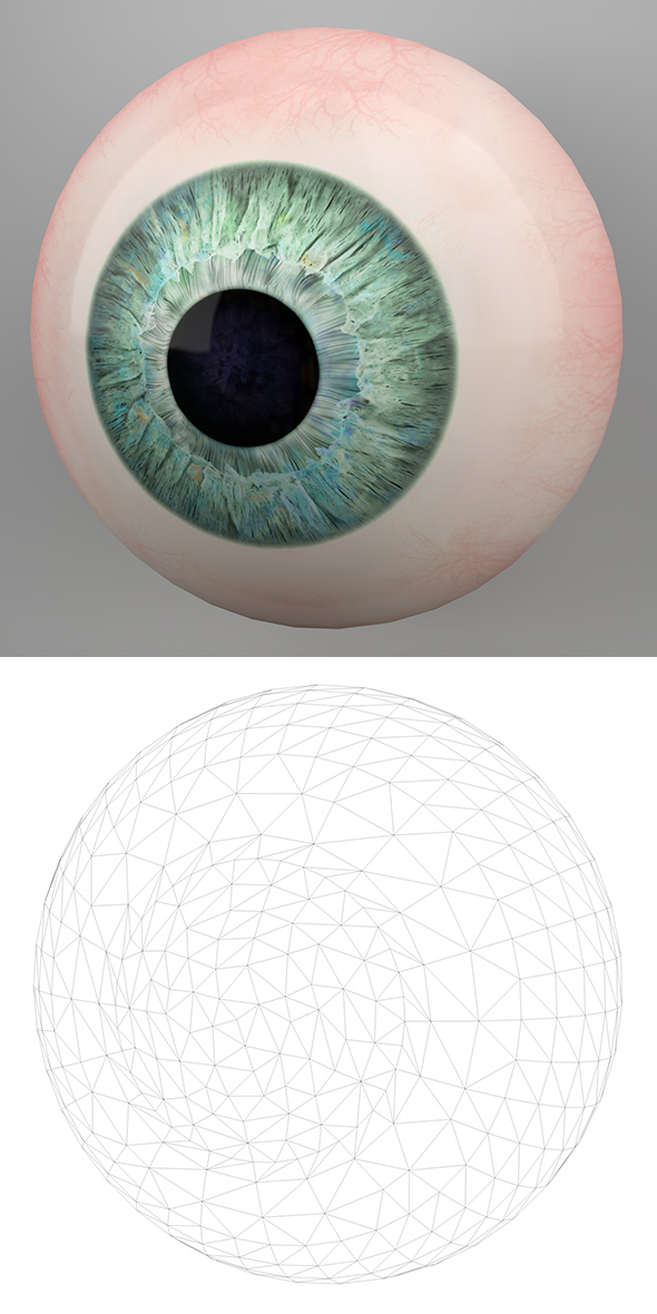 Sclera CG Textures & 3D Models | 3DOcean