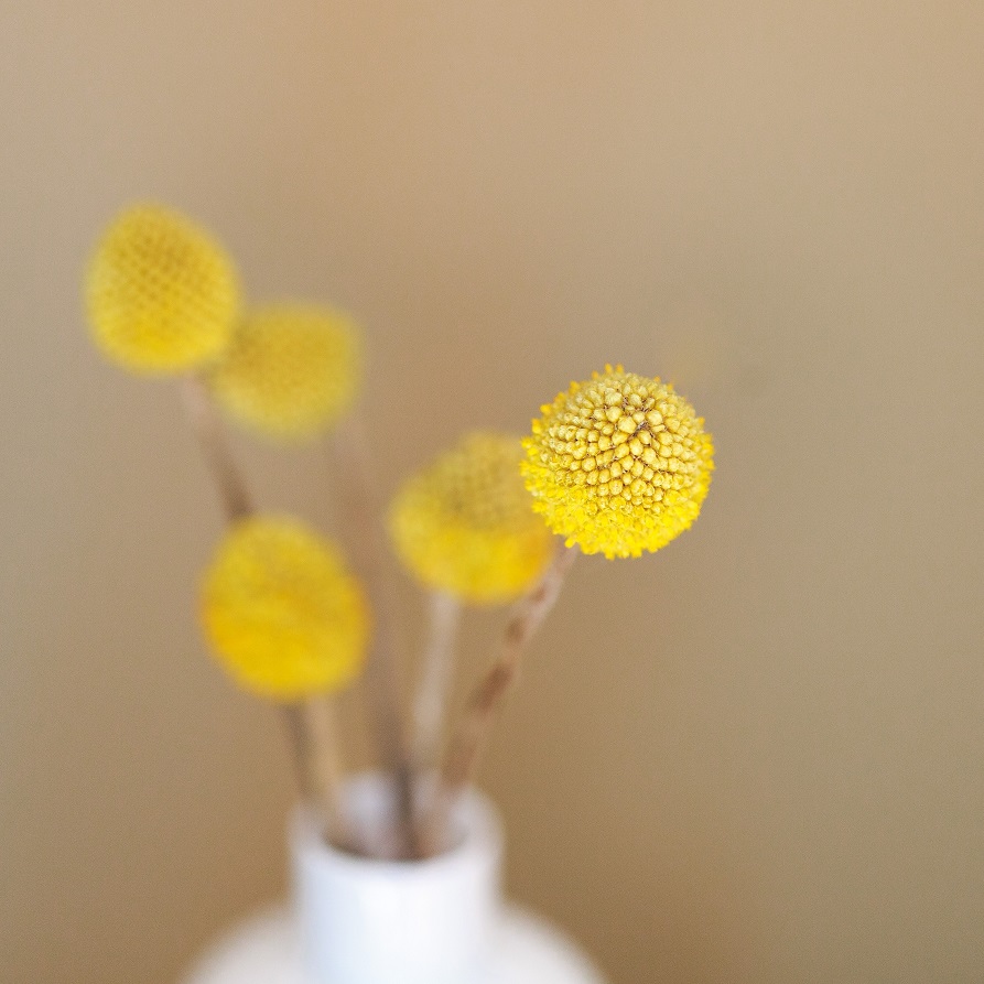 Bootstrap 4 Carousel - Image Slideshow and Gallery