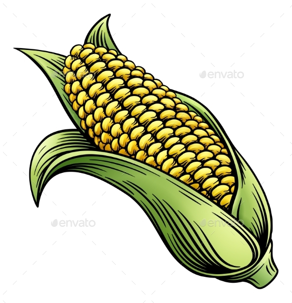 Maize Graphics, Designs & Templates | GraphicRiver