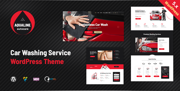 Aqualine - Car Washing Service WordPress Theme - Nitin Prakash