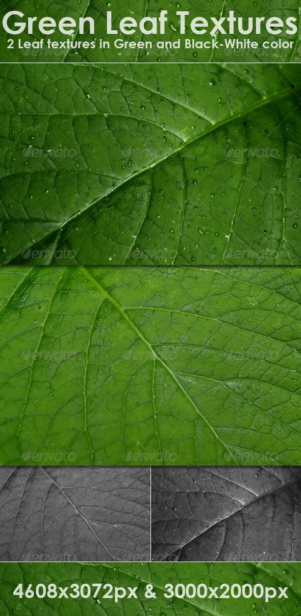 Green Textures | GraphicRiver