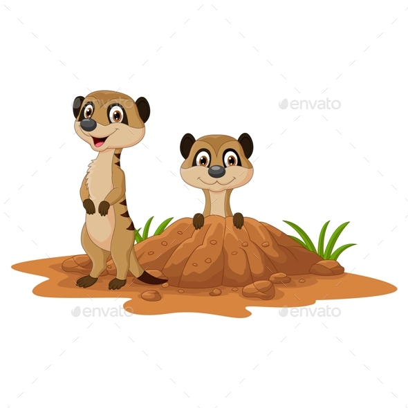Meerkat Graphics, Designs & Templates | GraphicRiver