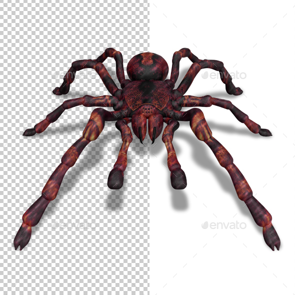 Spider Graphics, Designs & Templates | GraphicRiver