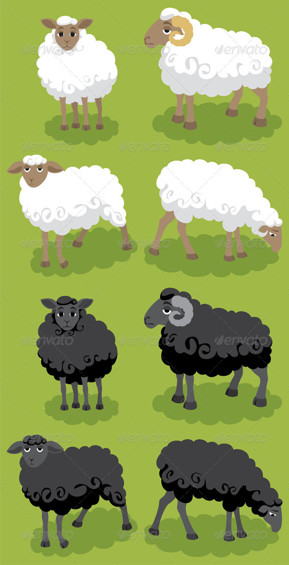 Sheep Graphics, Designs & Templates | GraphicRiver