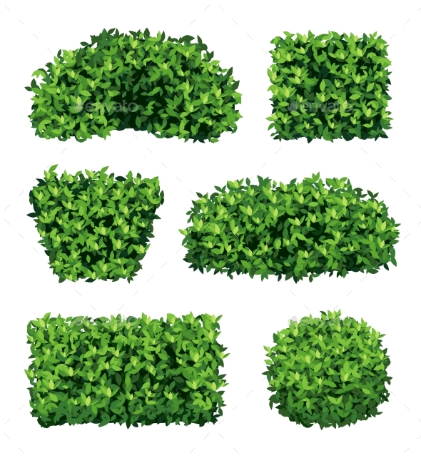 Shrubs Graphics, Designs & Templates | GraphicRiver