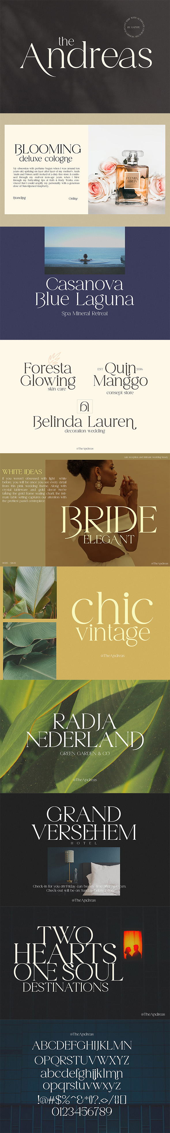 Serif Fonts from GraphicRiver