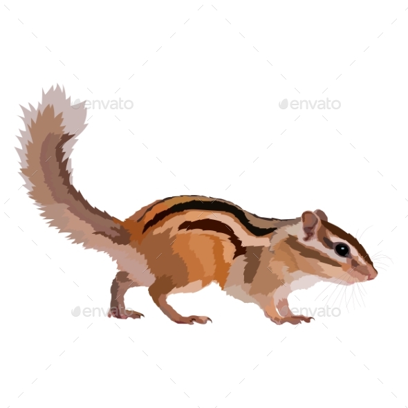 Chipmunks Graphics, Designs & Templates | GraphicRiver