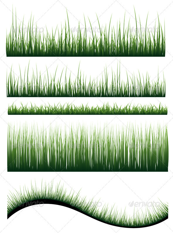 Grasses Graphics, Designs & Templates | GraphicRiver