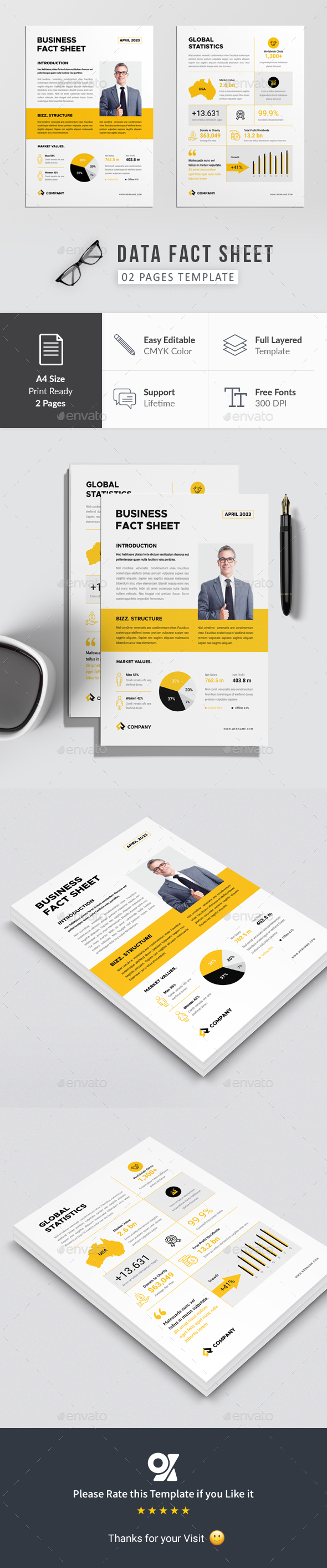 Factsheet Graphics, Designs & Templates | GraphicRiver