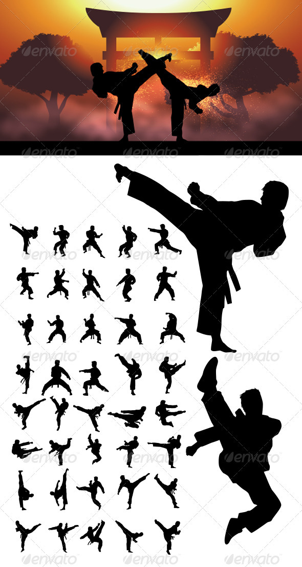 Karate Graphics, Designs & Templates | GraphicRiver