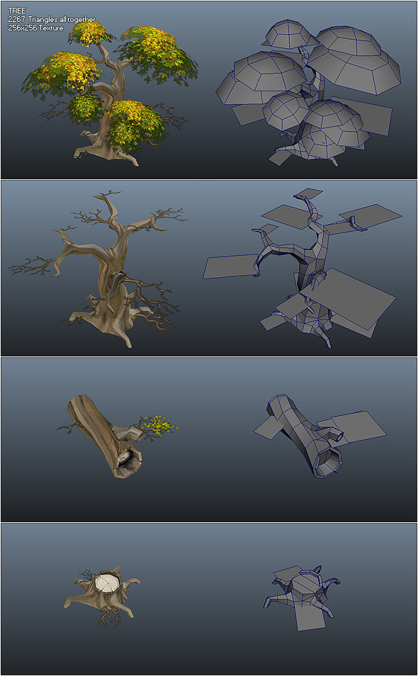 3D Nature Models from 3DOcean