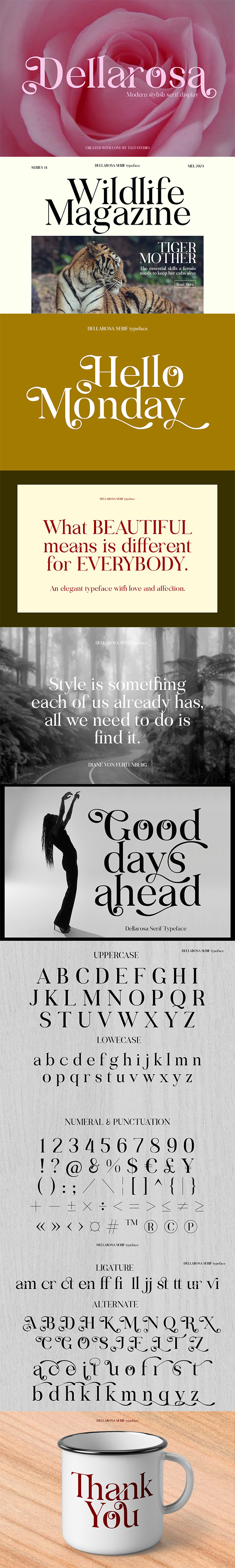 Serif Fonts from GraphicRiver