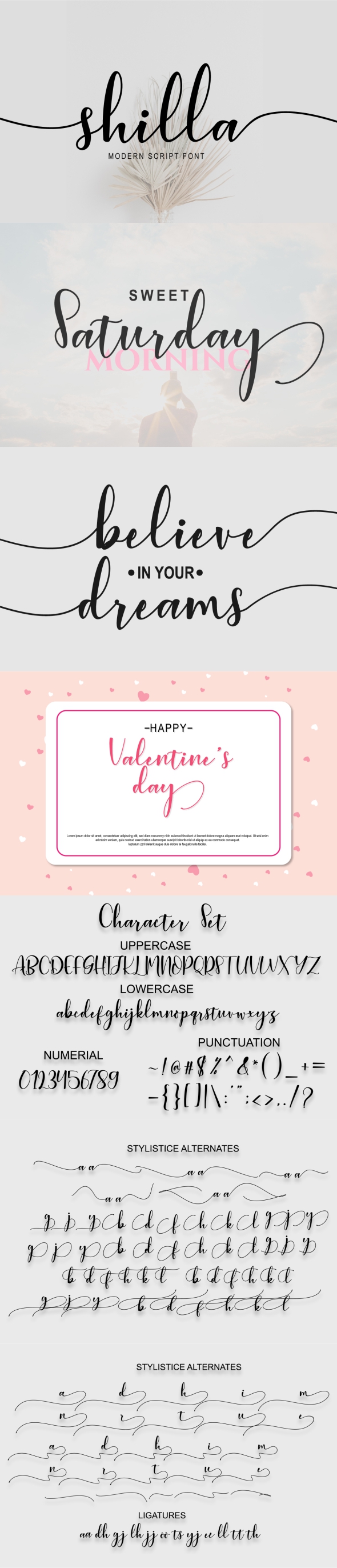 Script Fonts from GraphicRiver