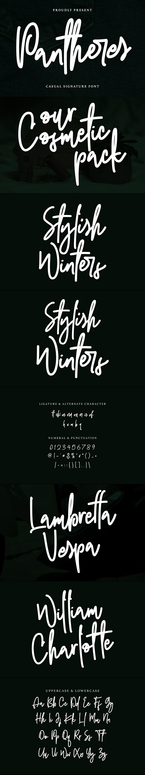 Panther Graphics, Designs & Templates | GraphicRiver