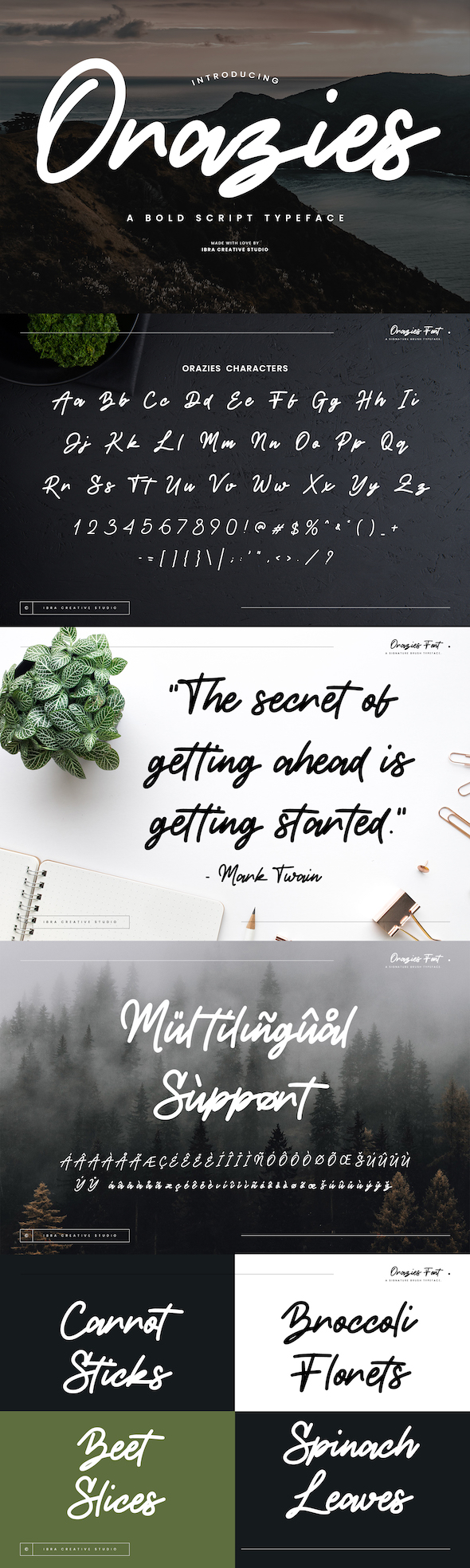 Script Fonts from GraphicRiver