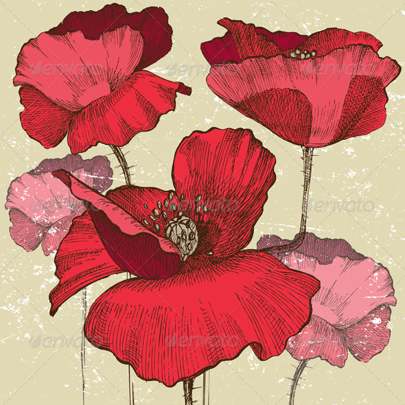 Poppy Design Graphics, Designs & Templates from GraphicRiver
