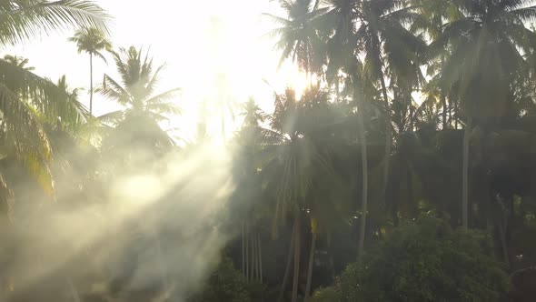 Download Smoke Ray Logo Reveal - Videohive - After Effects Projects