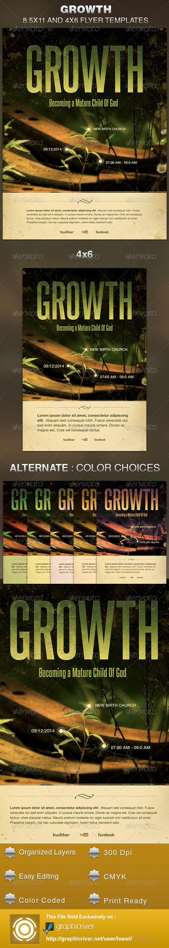 Growth Flyer Templates | GraphicRiver