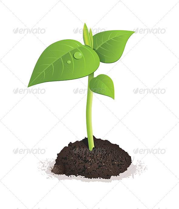 Sprout Graphics, Designs & Templates | GraphicRiver