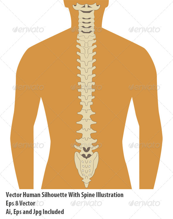 Spine Graphics, Designs & Templates | GraphicRiver