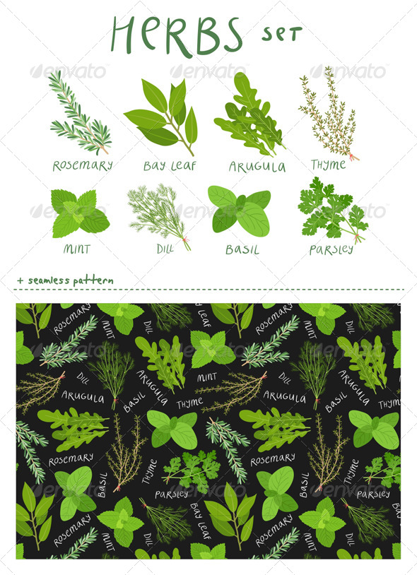 Herbs Graphics, Designs & Templates | GraphicRiver
