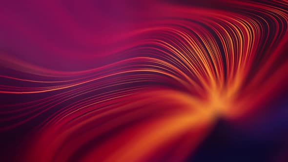 RAY DYNAMIC COLOR 2 (AESCRIPT) - After Effects Projects