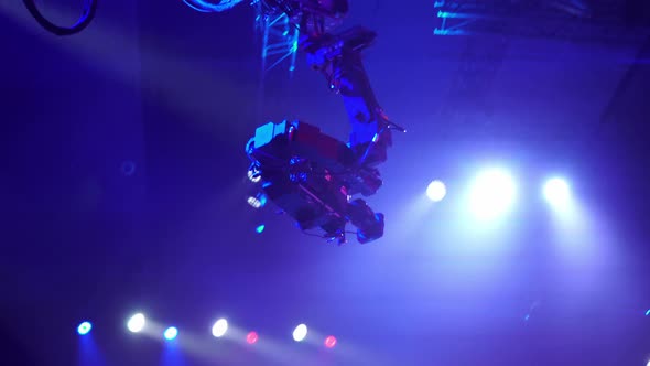 Download Live Event Promo - Videohive - After Effects Projects