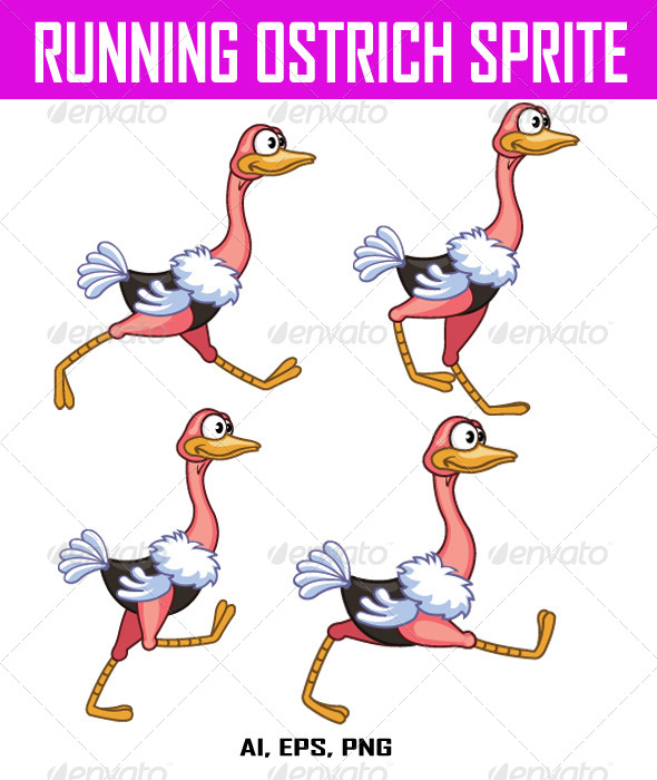 Ostrich Graphics, Designs & Templates from GraphicRiver
