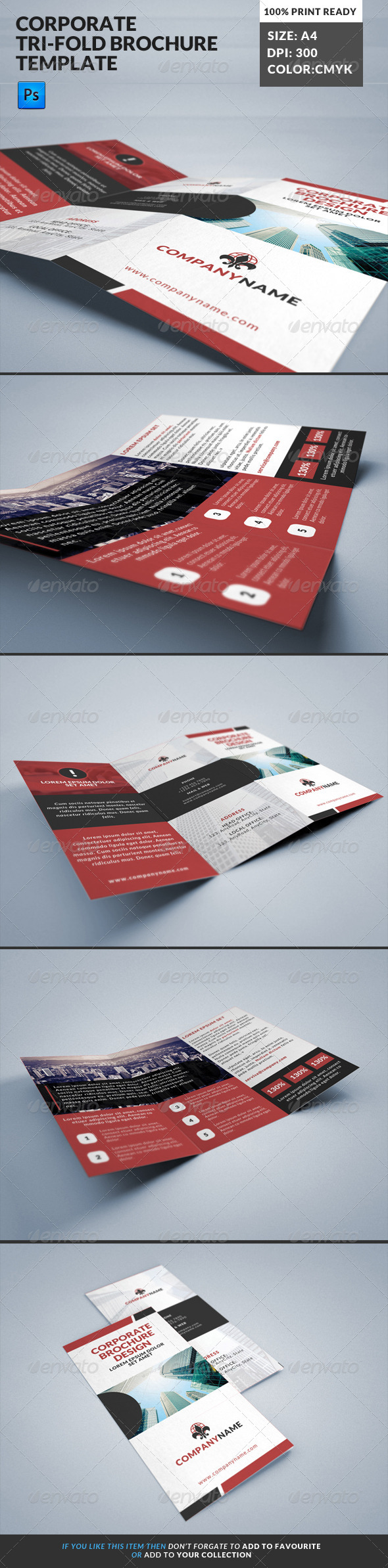 Signage Tri-fold Graphics, Designs & Templates