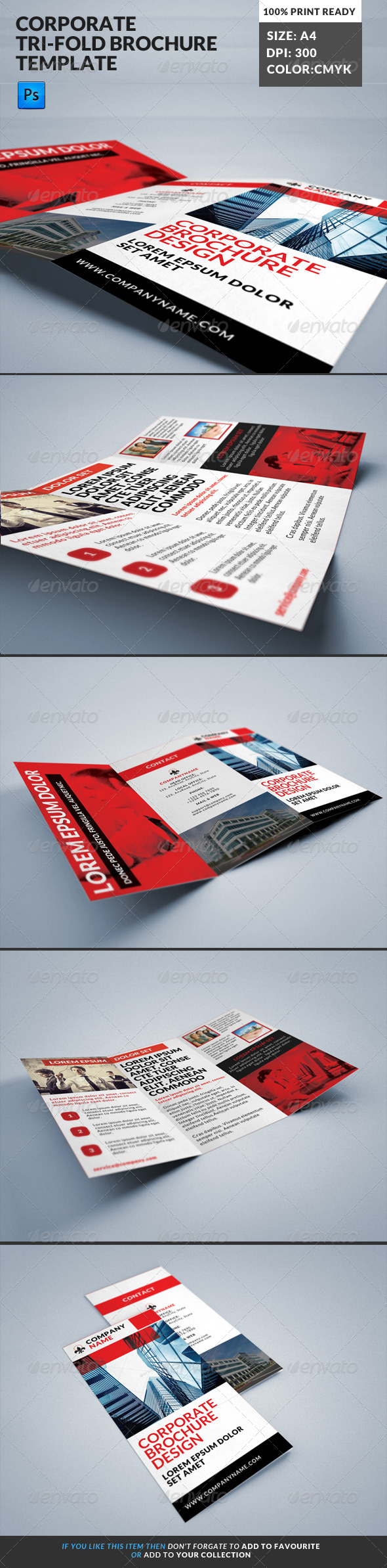 Signage Tri-fold Graphics, Designs & Templates